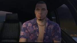 Random Event: Smuggler Plane | GTA Wiki | Fandom