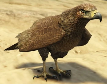 Hawks | GTA Wiki | Fandom