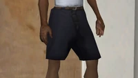 Clothing in GTA San Andreas/ZIP | GTA Wiki | Fandom