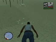 Fish | GTA Wiki | Fandom