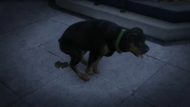 Chop | GTA Wiki | Fandom
