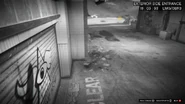 The Freakshop | GTA Wiki | Fandom