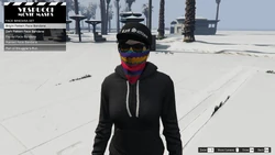 Task: Masks | GTA Wiki | Fandom