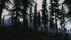Paleto Forest | GTA Wiki | Fandom