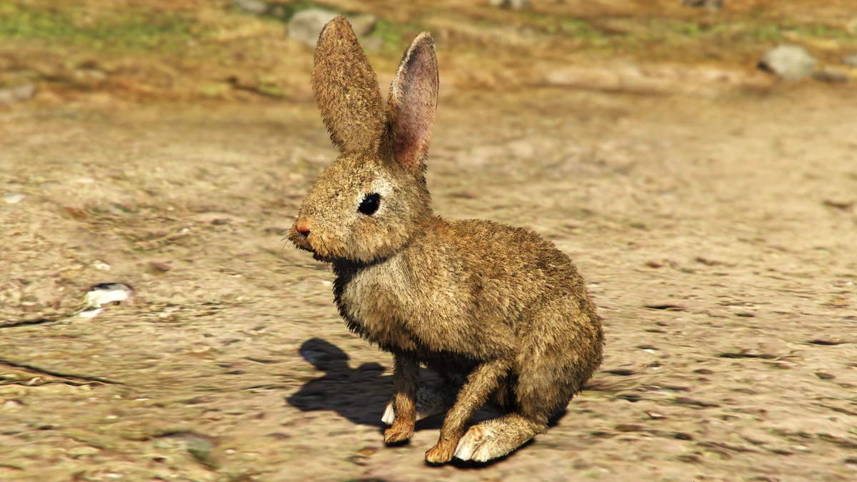 Rabbits | GTA Wiki | Fandom