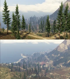 Paleto Forest | GTA Wiki | Fandom