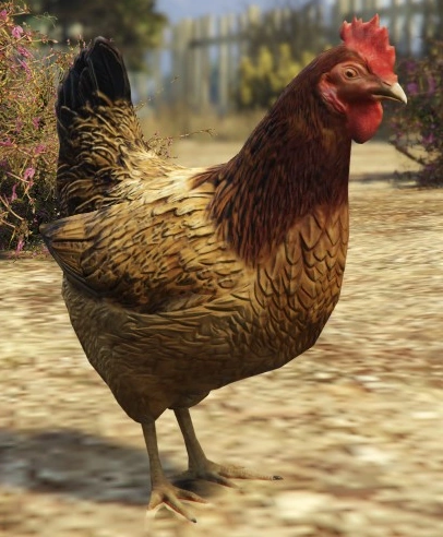 Chickens | GTA Wiki | Fandom