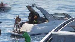 Squalo | GTA Wiki | Fandom