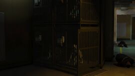 Monkeys | GTA Wiki | Fandom