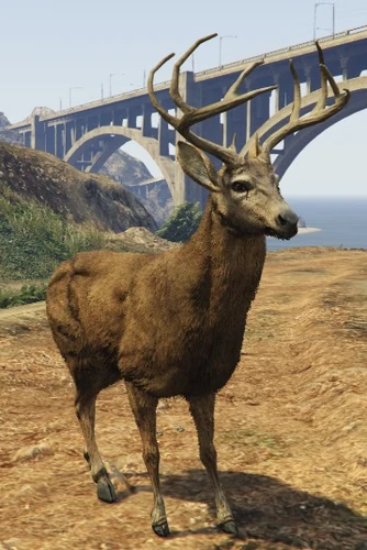 Deer | GTA Wiki | Fandom