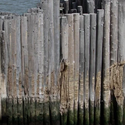 Unnamed GTA IV Staten Island-inspired borough | GTA Wiki | Fandom
