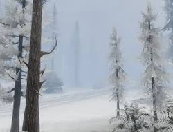 Paleto Forest | GTA Wiki | Fandom