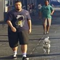 Dogs | GTA Wiki | Fandom