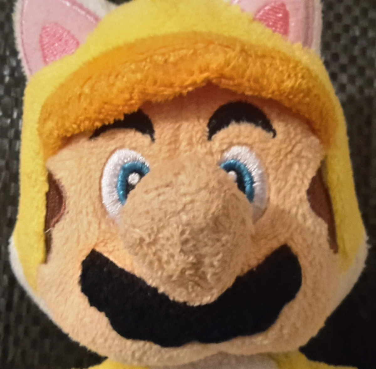 Cat Mario | The Cat Mario Wiki | Fandom
