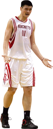 Yao Ming | GTR Character Elimination Wiki | Fandom