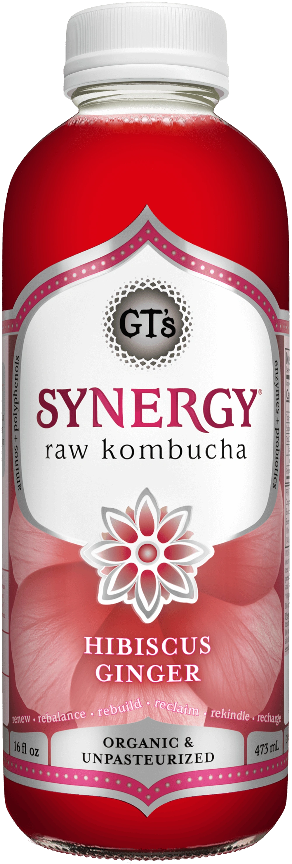 Hibiscus Ginger | GT's Synergy Wiki | Fandom
