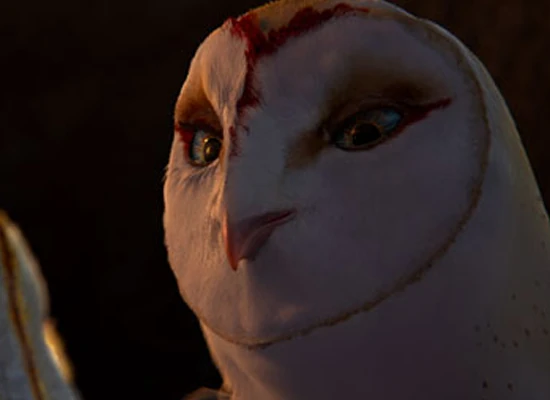 Nyra | Guardians of Ga'Hoole Tree' Wiki | Fandom