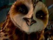 Otulissa (Movie) | Guardians of Ga’Hoole Wiki | Fandom