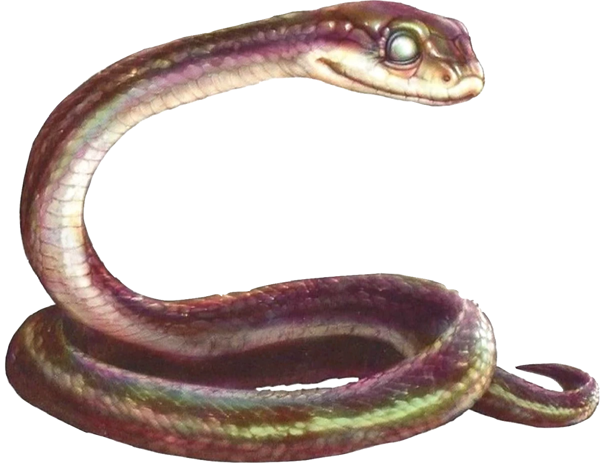 Mrs. Plithiver (Movie) | Guardians of Ga’Hoole Wiki | Fandom