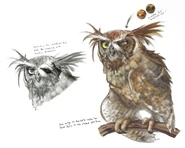 Ezylryb (Movie) | Guardians of Ga’Hoole Wiki | Fandom