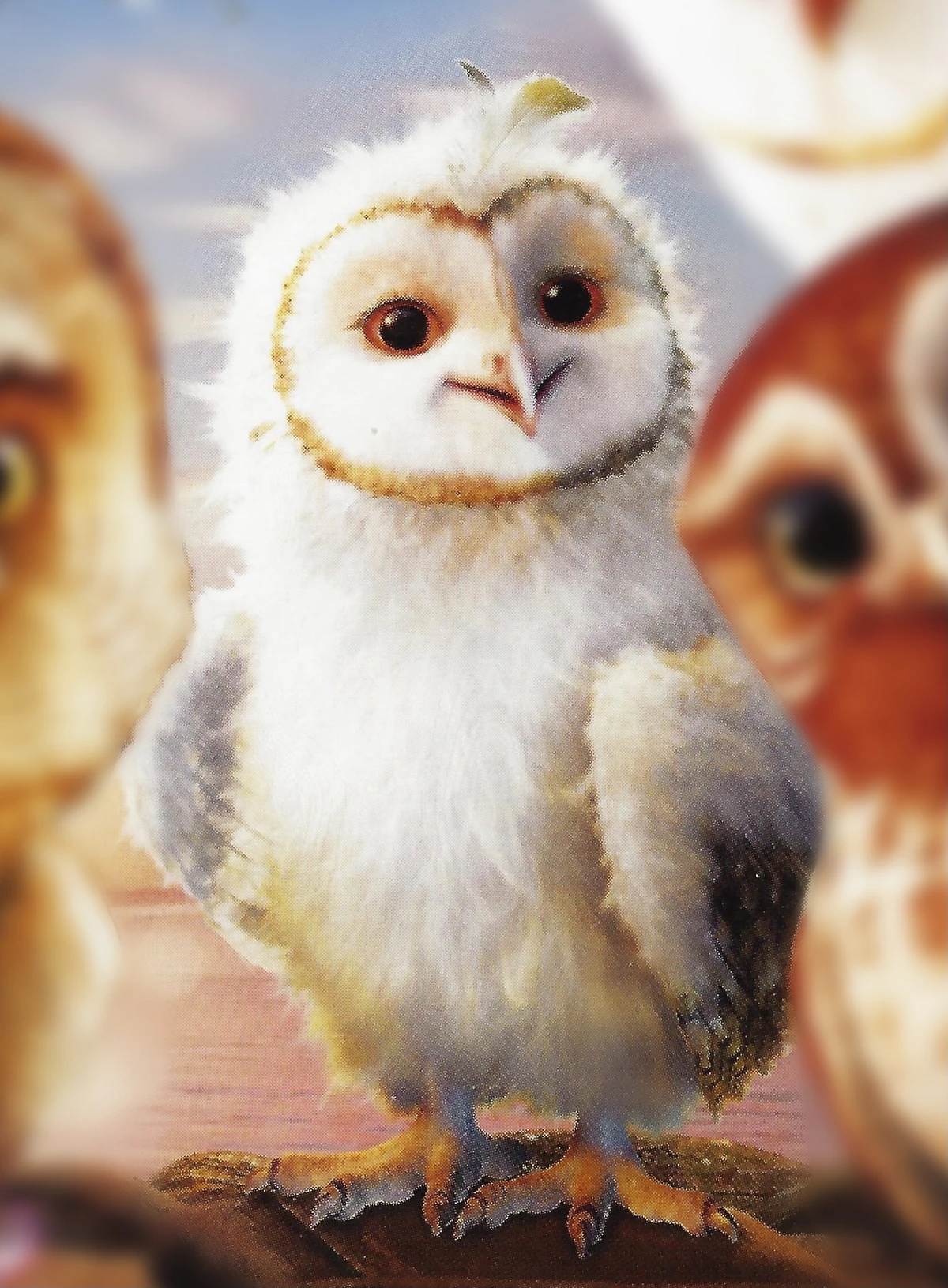 Eglantine (Movie) | Guardians of Ga’Hoole Wiki | Fandom