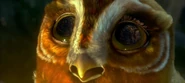 Gylfie (Movie) | Guardians of Ga’Hoole Wiki | Fandom