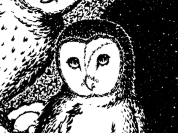 Message Wall:Gyllbane MacNamara | Guardians of Ga’Hoole Wiki | Fandom