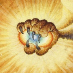 Ember of Hoole | Guardians of Ga’Hoole Wiki | Fandom