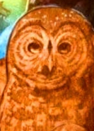 Otulissa (Books) | Guardians of Ga’Hoole Wiki | Fandom