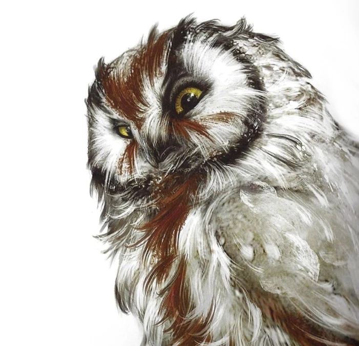 The Art of Legend of the Guardians: The Owls of Ga'Hoole | Guardians of ...