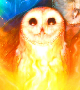 Coryn | Guardians of Ga’Hoole Wiki | Fandom