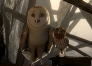 Gylfie (Movie) | Guardians of Ga’Hoole Wiki | Fandom