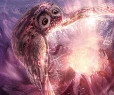 Hoole | Guardians of Ga’Hoole Wiki | Fandom