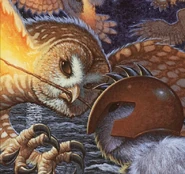 Otulissa (Books) | Guardians of Ga’Hoole Wiki | Fandom