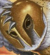 Kludd (Books) | Guardians of Ga’Hoole Wiki | Fandom