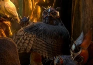 Bubo (Movie) | Guardians of Ga’Hoole Wiki | Fandom