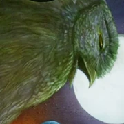 Hagsfiend (Books) | Guardians of Ga’Hoole Wiki | Fandom