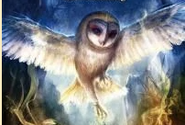 Coryn | Guardians of Ga’Hoole Wiki | Fandom