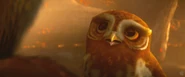 Gylfie (Movie) | Guardians of Ga’Hoole Wiki | Fandom
