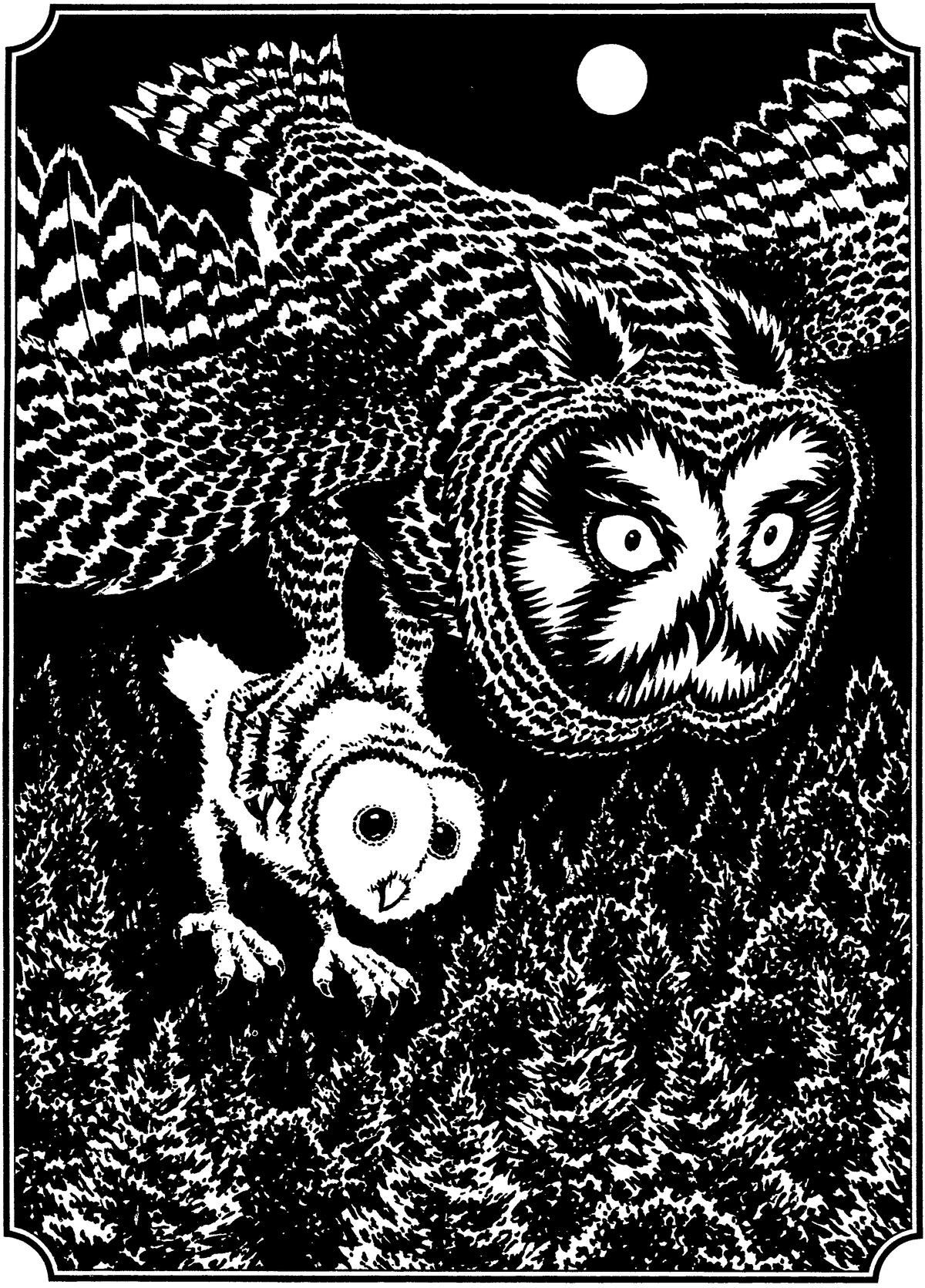 The Capture | Guardians of Ga’Hoole Wiki | Fandom