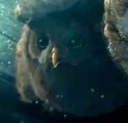 Bess (Movie) | Guardians of Ga’Hoole Wiki | Fandom