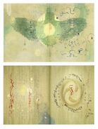 Hoolian | Guardians of Ga’Hoole Wiki | Fandom