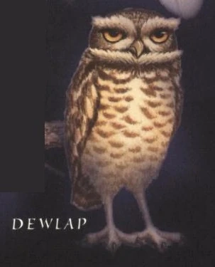 Dewlap (Books) | Guardians of Ga’Hoole Wiki | Fandom