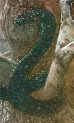 Gragg | Guardians of Ga’Hoole Wiki | Fandom