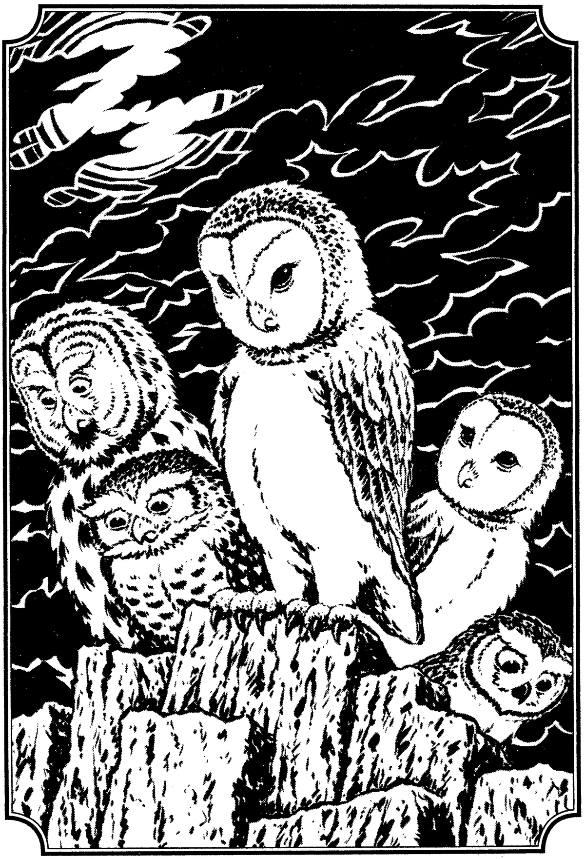 The War of the Ember | Guardians of Ga’Hoole Wiki | Fandom