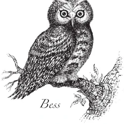bess coloring pages