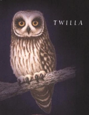 Twilla | Guardians of Ga’Hoole Wiki | Fandom