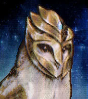 Shard | Guardians of Ga’Hoole Wiki | Fandom