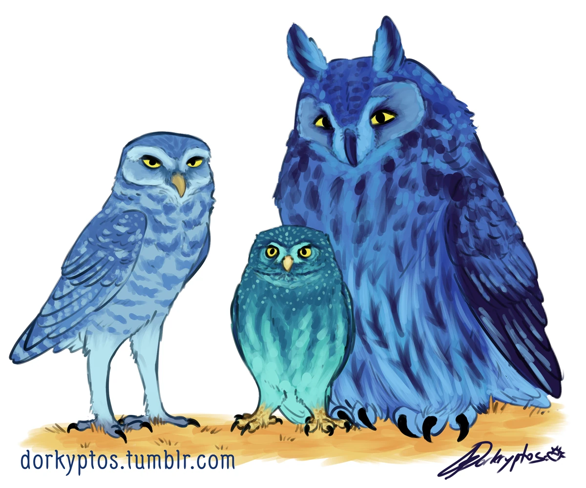 Blue Owls | Guardians of Ga’Hoole Wiki | Fandom