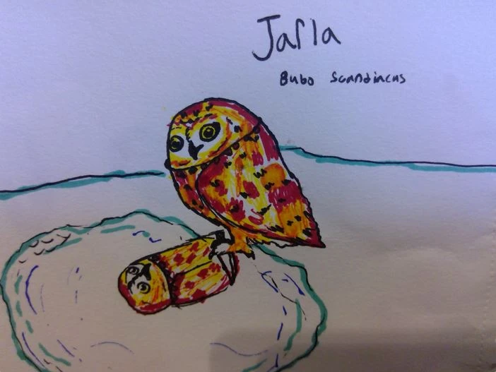 Jarla | Guardians of Ga'Hoole Fanon Wikia | Fandom